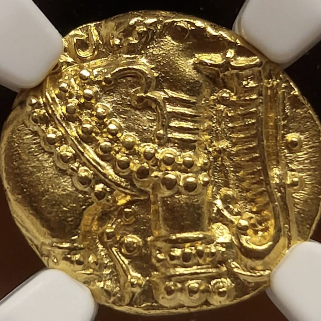 インド・パゴダ金貨 西ガンガ朝 1100-1327年 『右向きのインド象』 MS-63 - Tokyo Numismatic Tradings